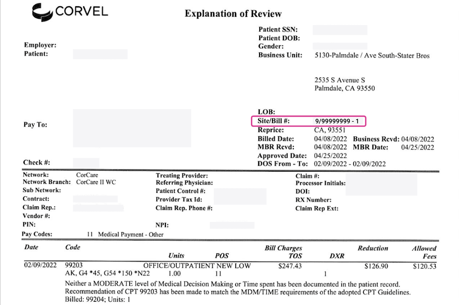 Payer Claim Control Number | daisyBill