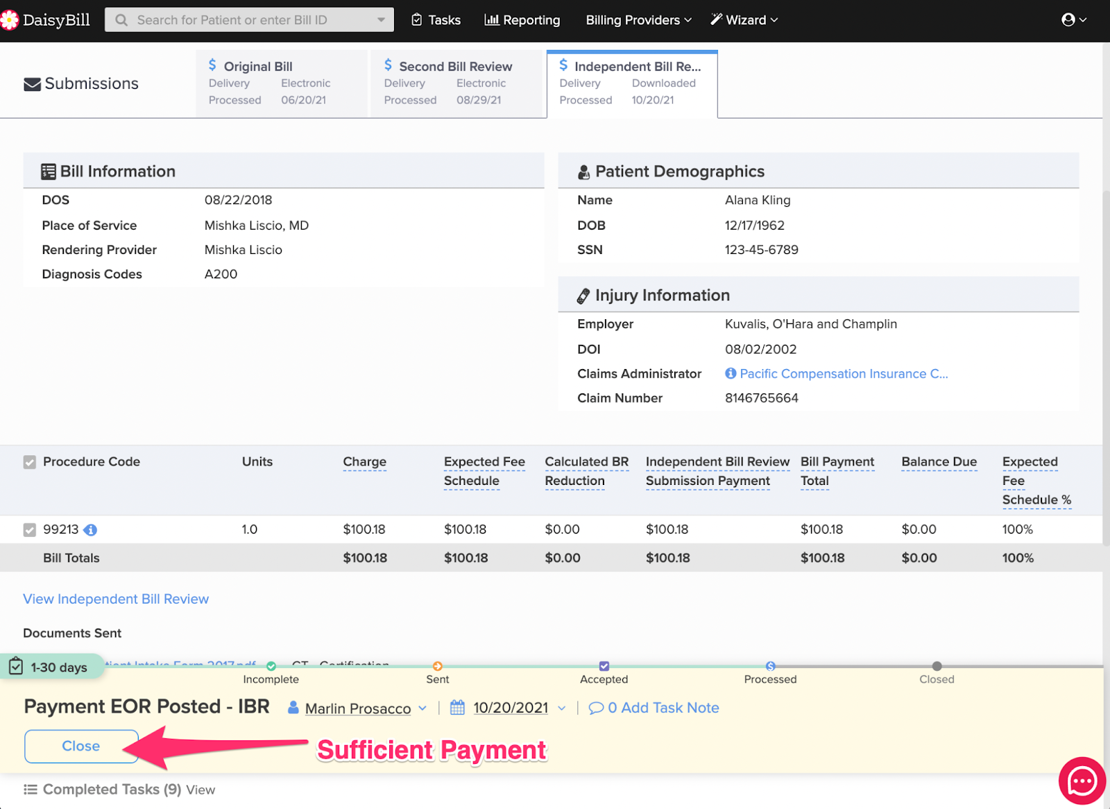 Task: Payment EOR Posted - IBR | daisyBill