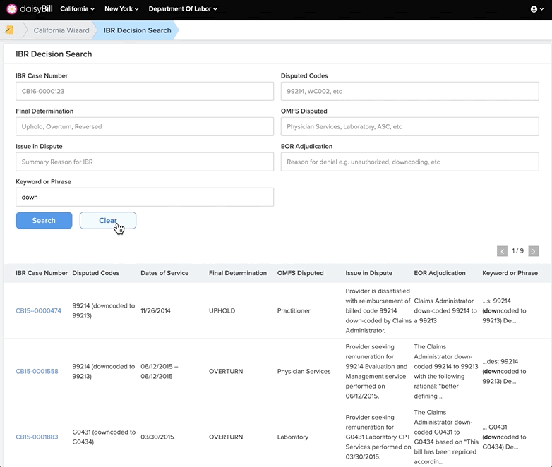 IBR Decisions Page Explained | daisyBill