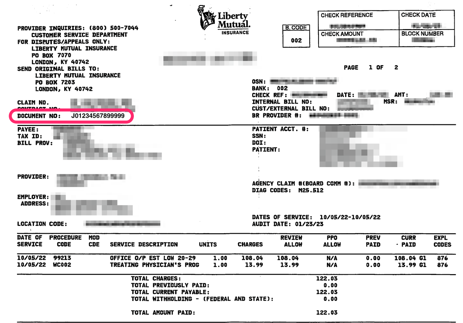 Payer Claim Control Number | daisyBill